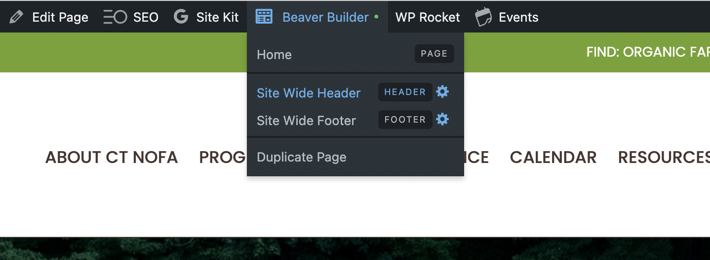 Editing the Header and Footer – CRIANA.net